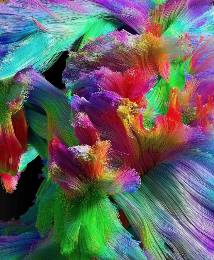 Refik Anadol, el artista que (con ayuda de IA) transforma los datos en arte