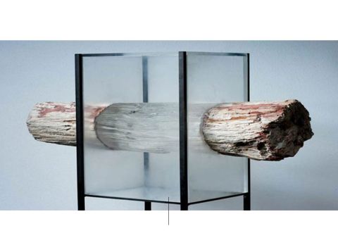Madera transparente, el material de construcción del futuro ...