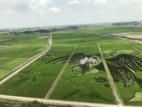 Tanbo Art: Una fiesta con obras de arte que brotan de la tierra ...