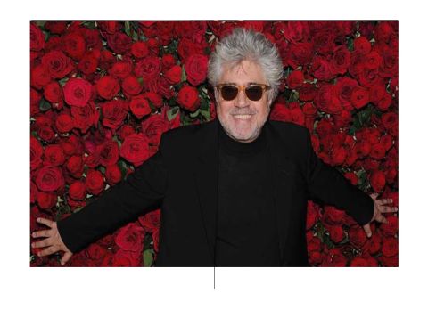 Pedro Almodóvar: Un perfeccionista del cine y el color | Fahrenheit ...