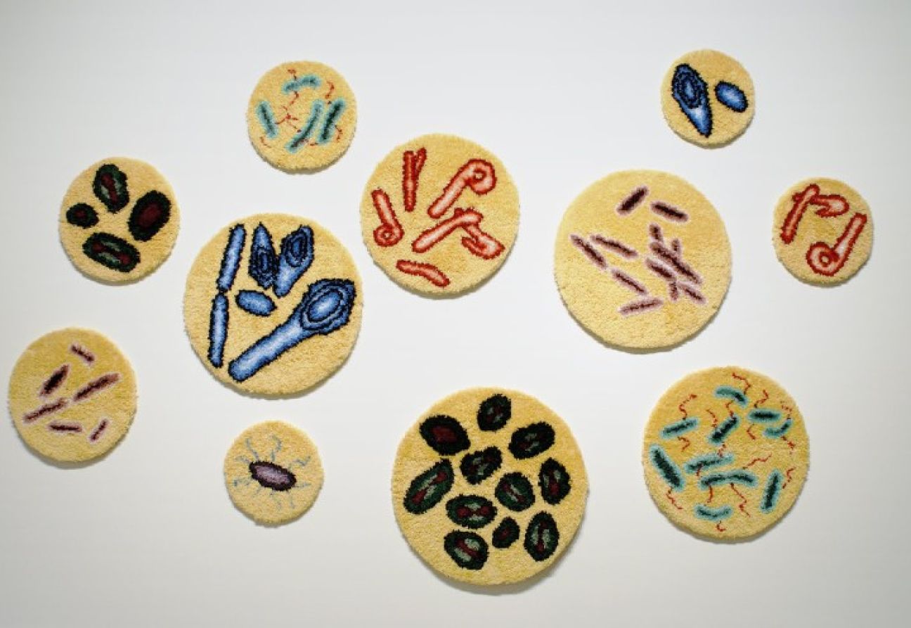 La belleza microscópica del coronavirus en el bioarte de Laura Splan